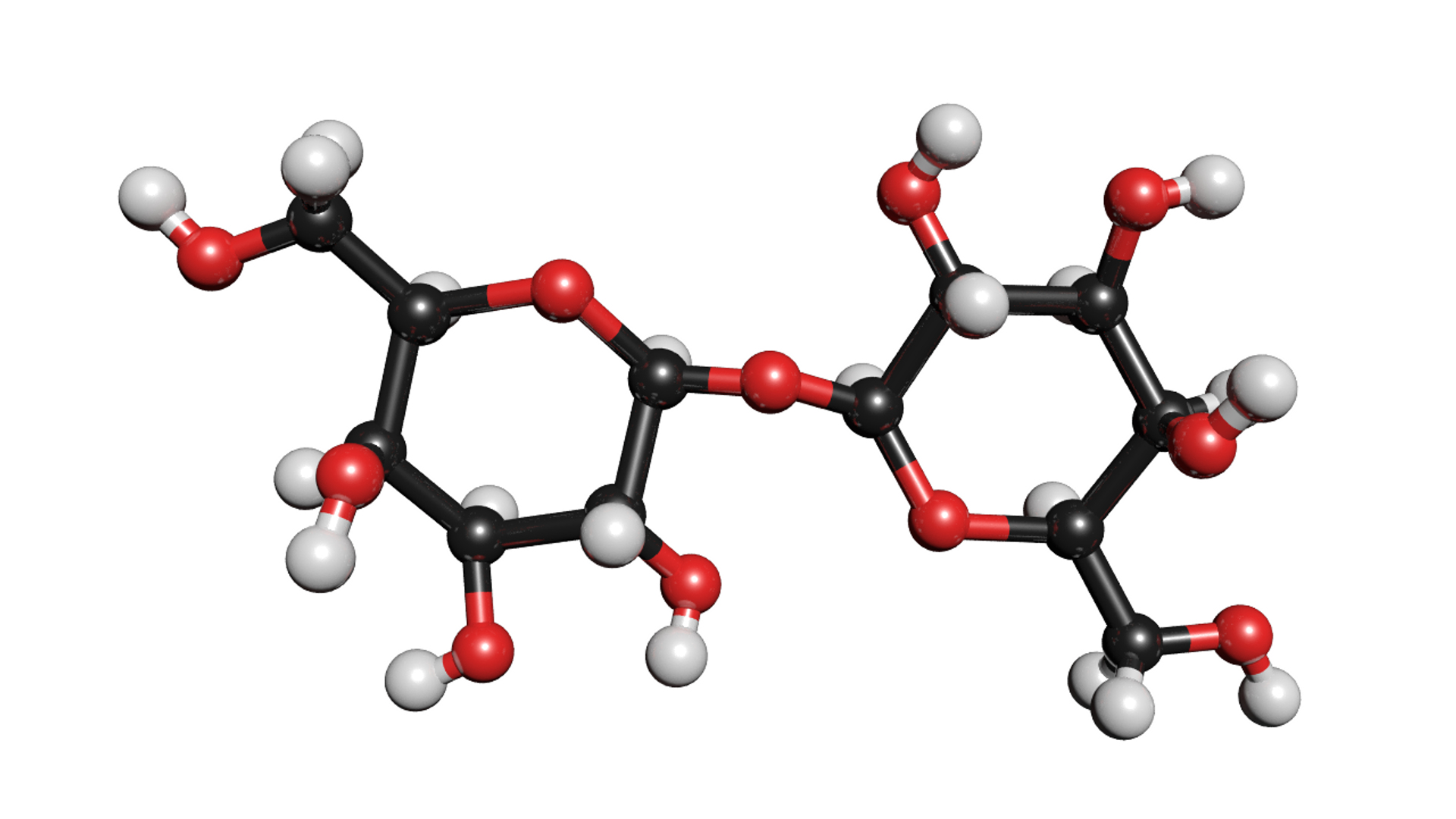 C12h22o11 maltose 3D - TurboSquid 1425566