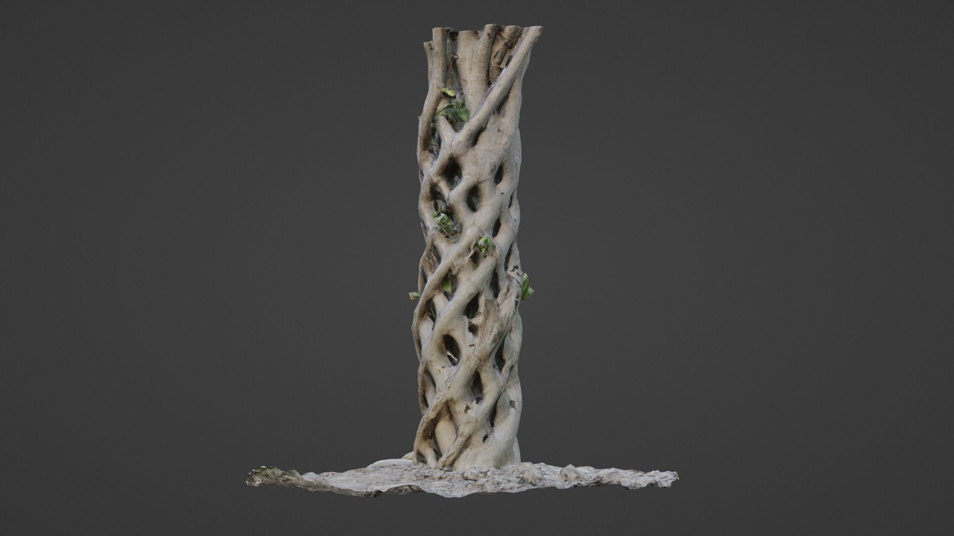 Alabama Family Plant Model - TurboSquid 2332149