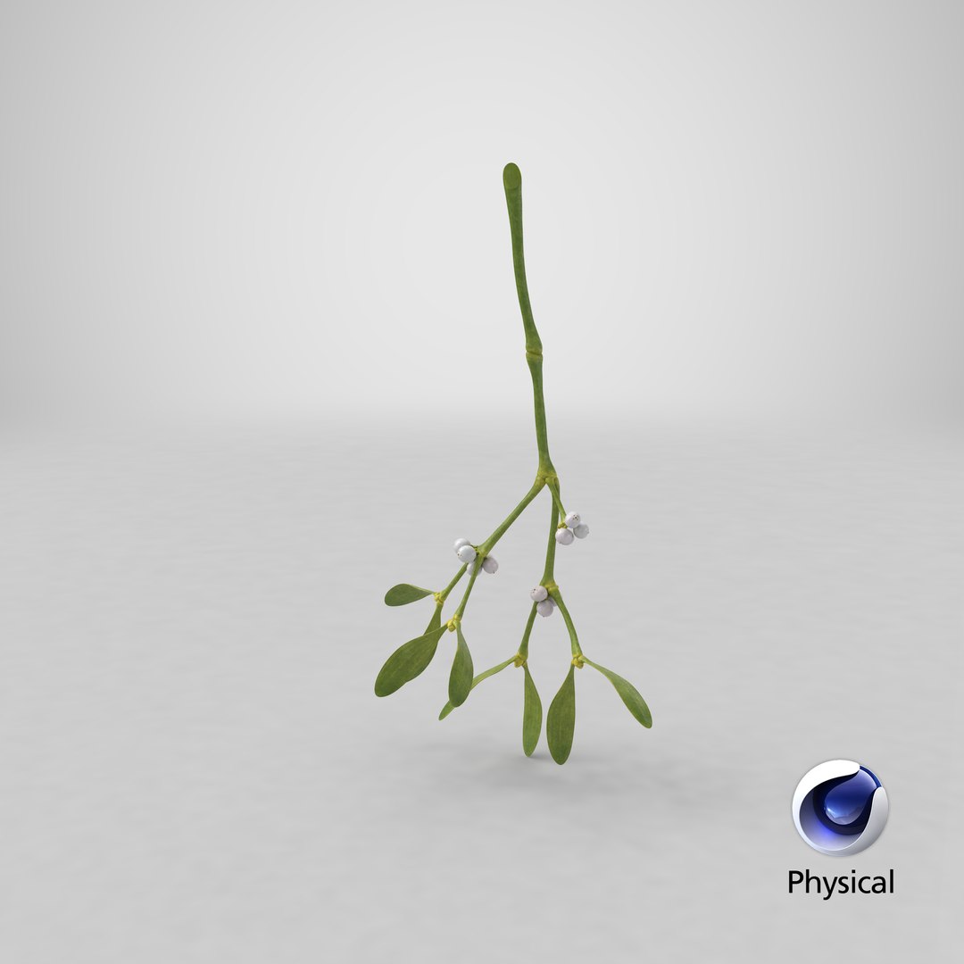 Mistletoe 2 Model - TurboSquid 1803909