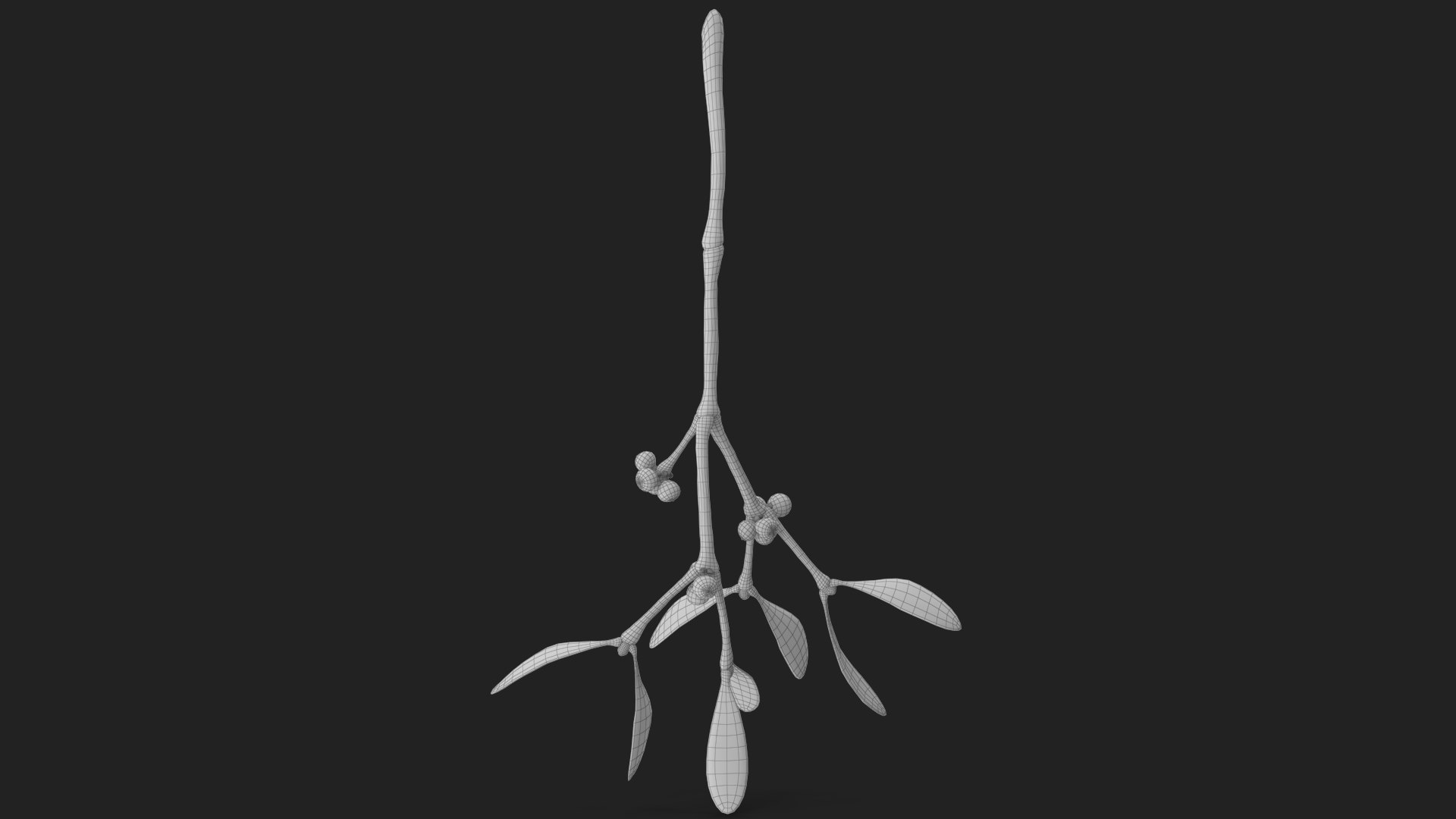 Mistletoe 2 model - TurboSquid 1803909