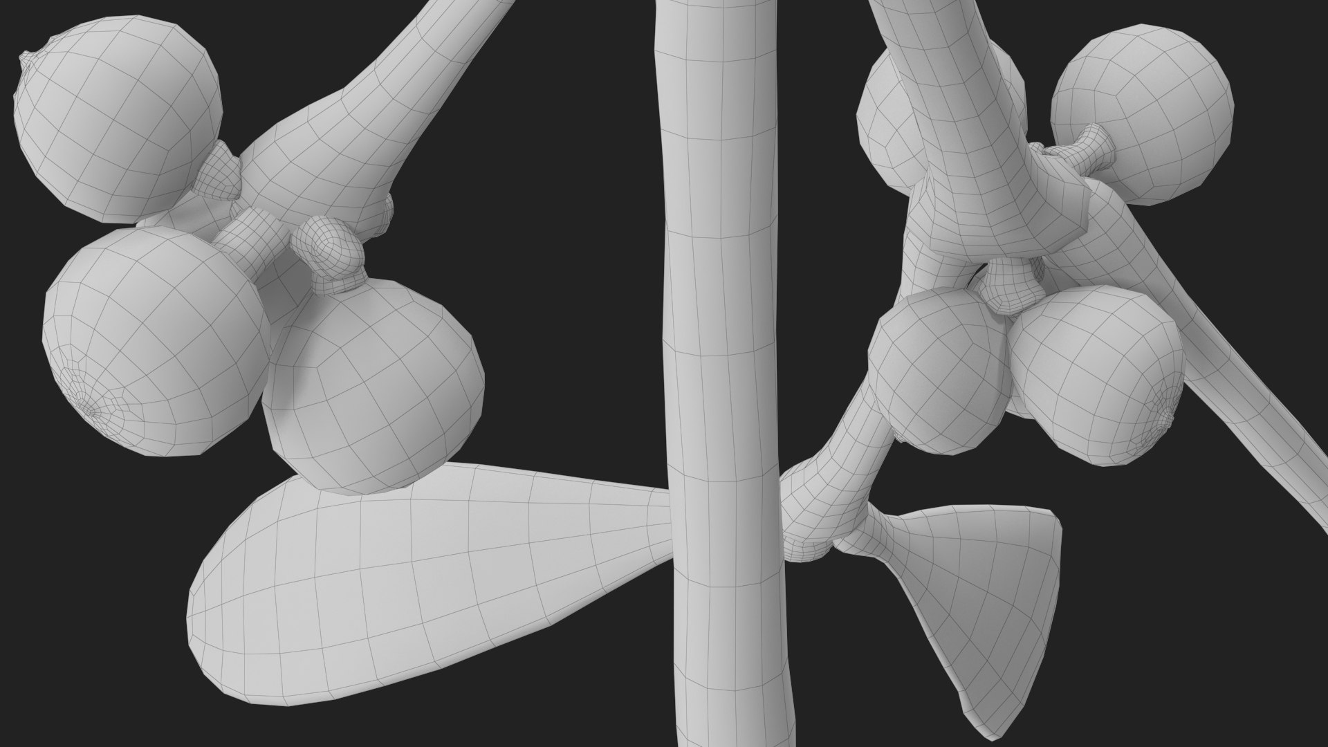 Mistletoe 2 model - TurboSquid 1803909