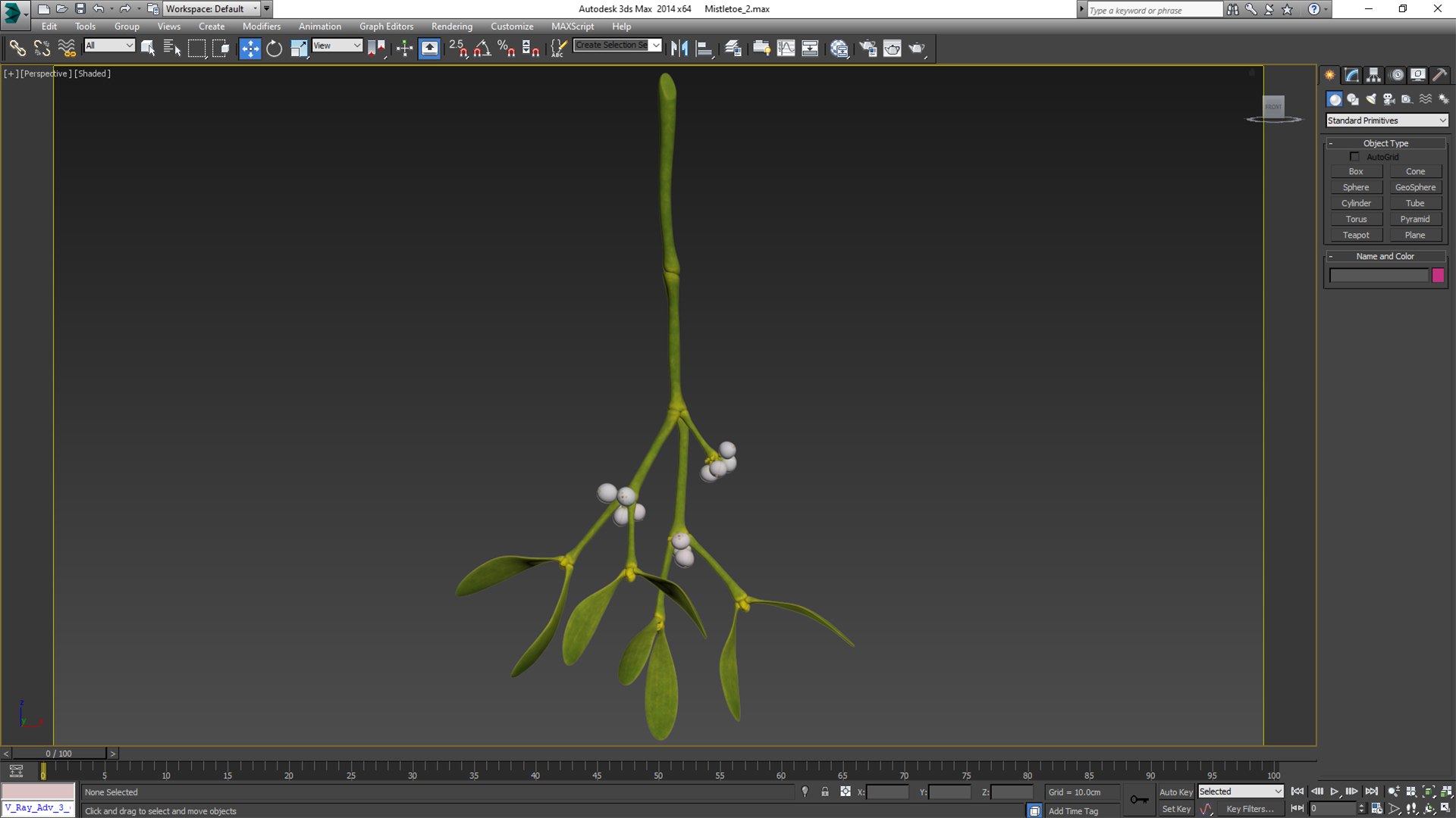 Mistletoe 2 Model - TurboSquid 1803909