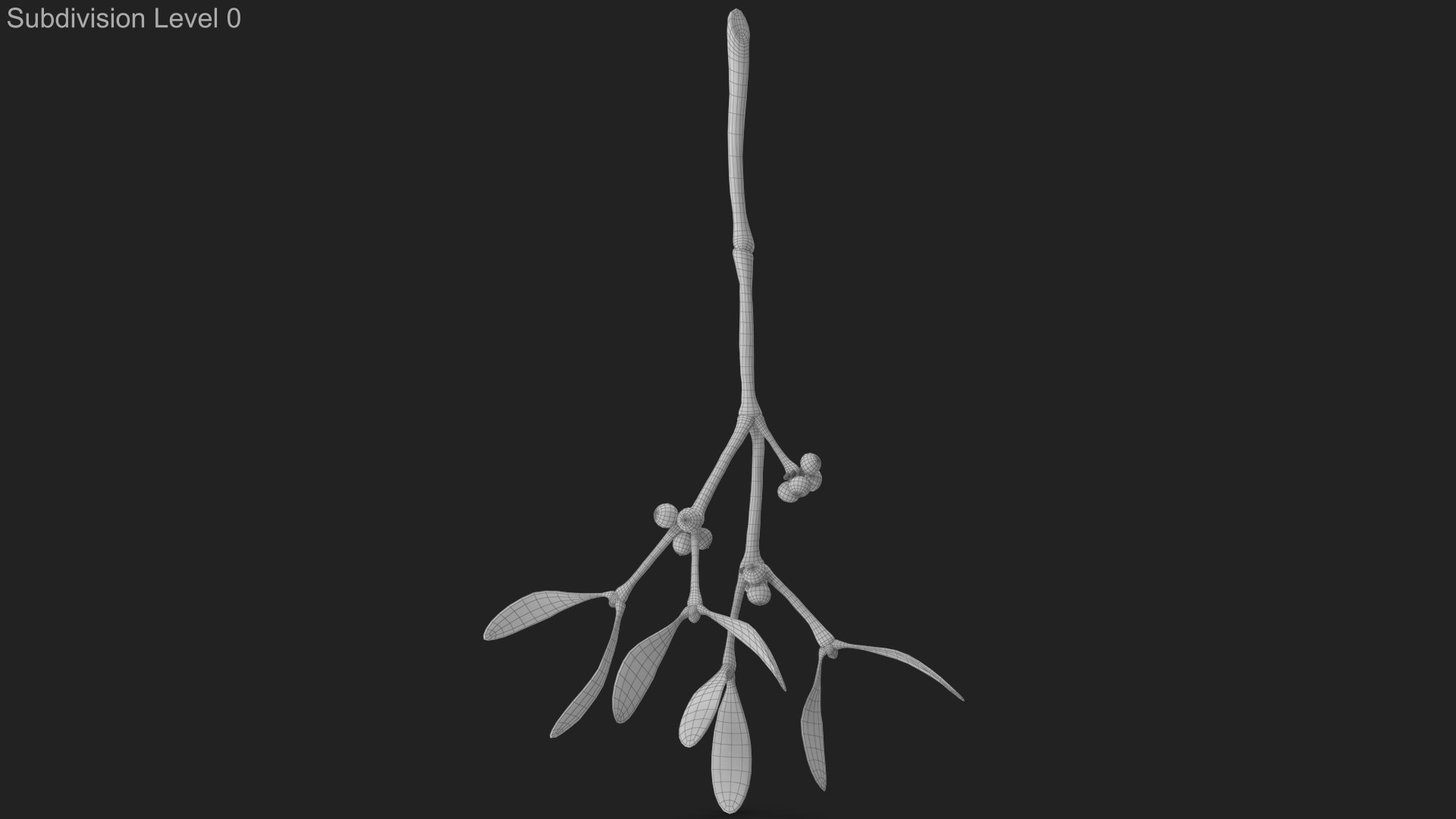 Mistletoe 2 model - TurboSquid 1803909