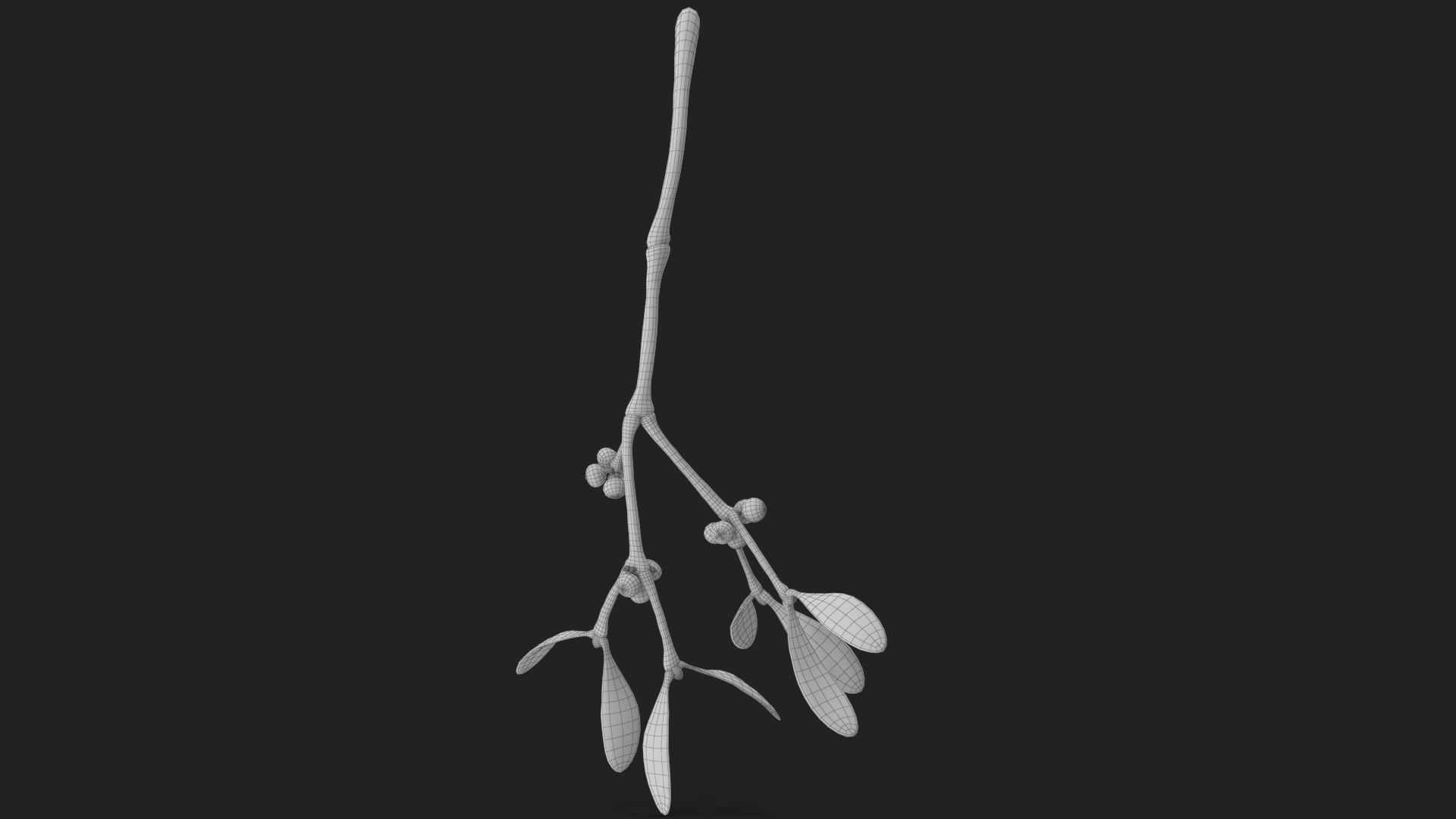 Mistletoe 2 model - TurboSquid 1803909