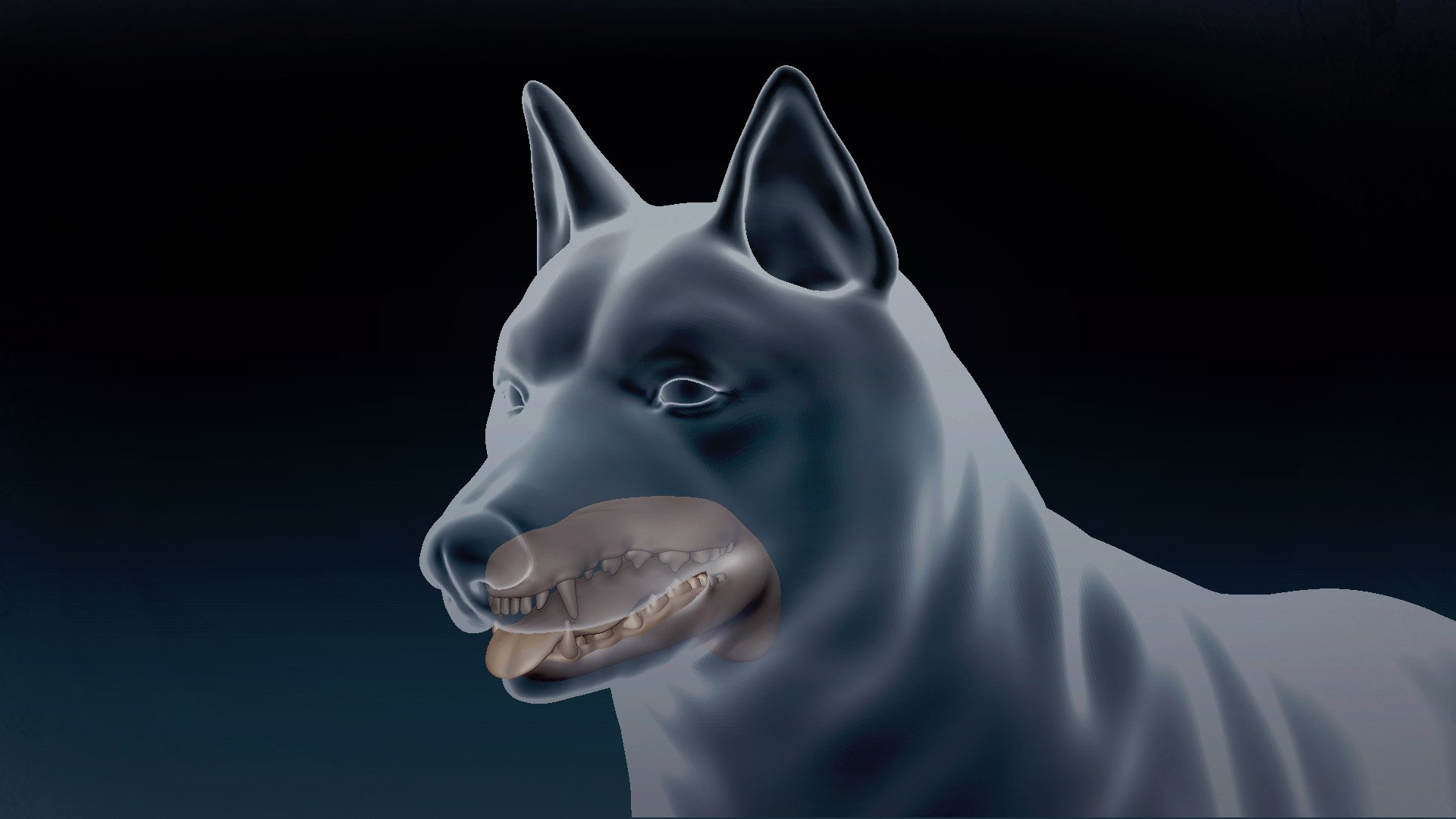 Siberian Husky Base Mesh 3D Model 3D Model - TurboSquid 1863589
