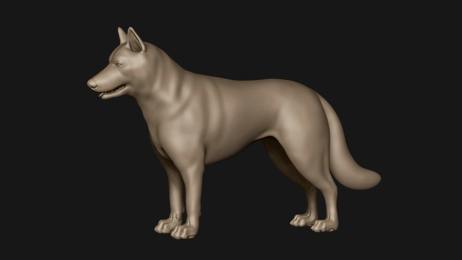 Siberian Husky Base Mesh 3D Model 3D Model - TurboSquid 1863589