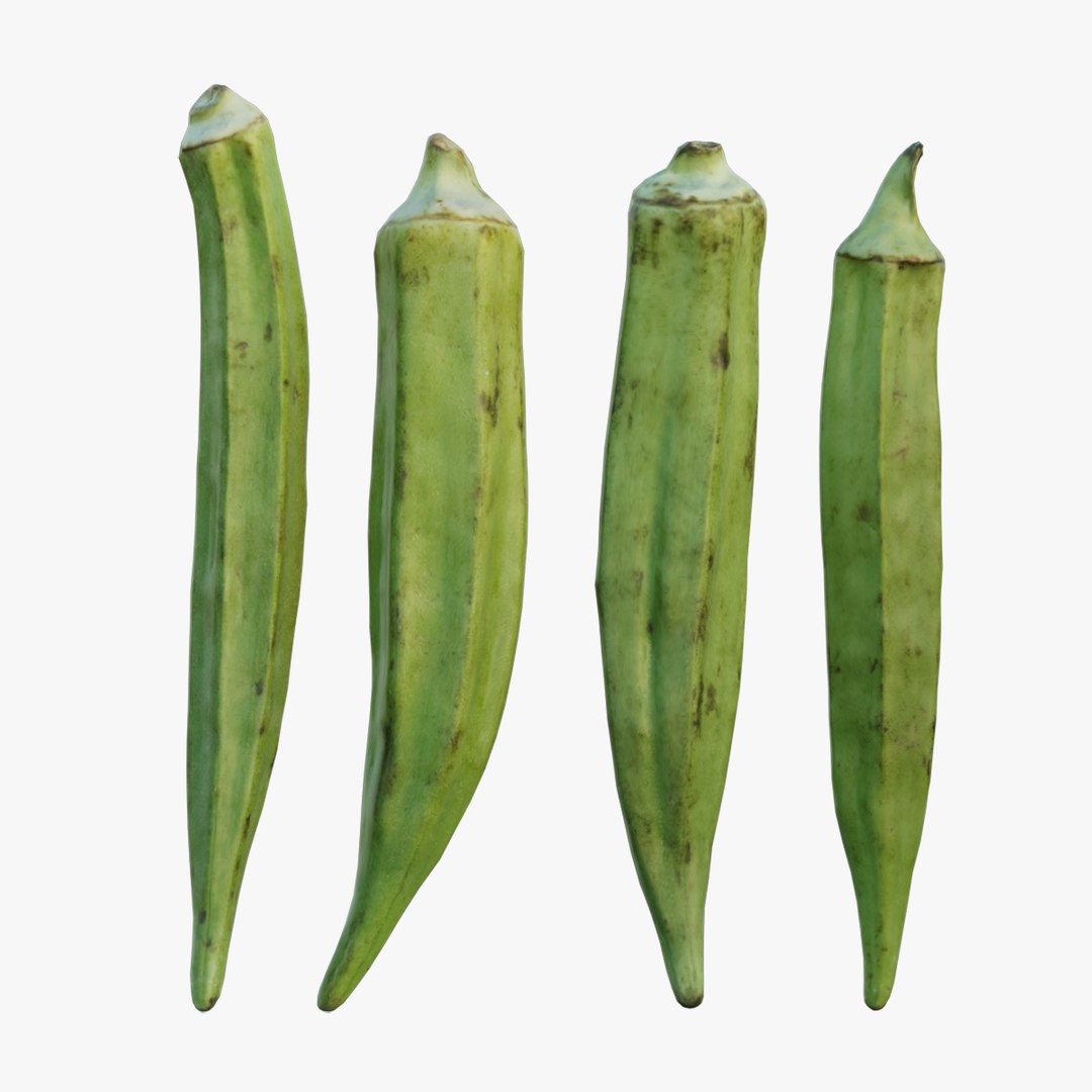 Fresh Okra 02 Model - TurboSquid 1922001