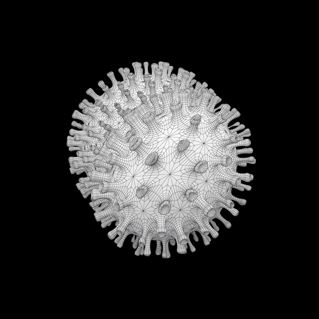 3d Model Bacteria Bacillus