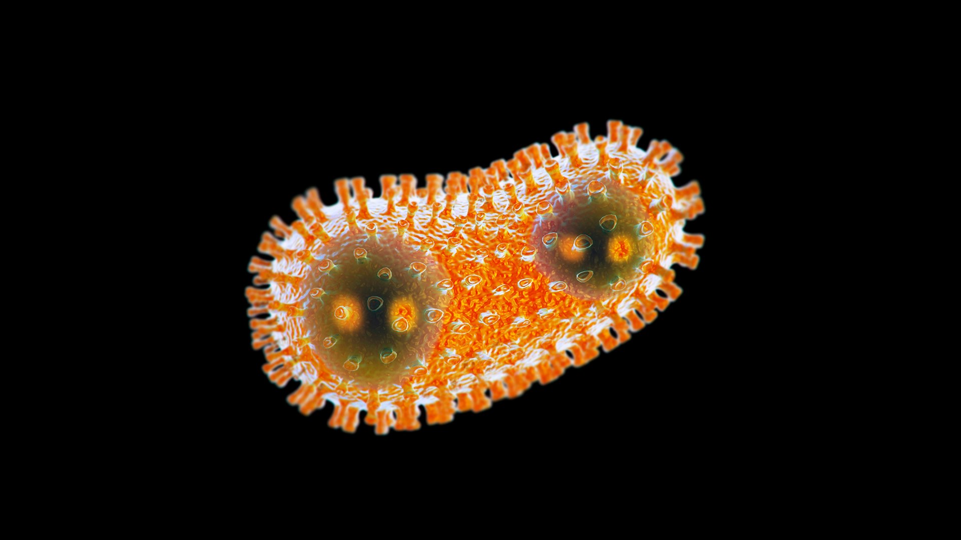 3d Model Bacteria Bacillus