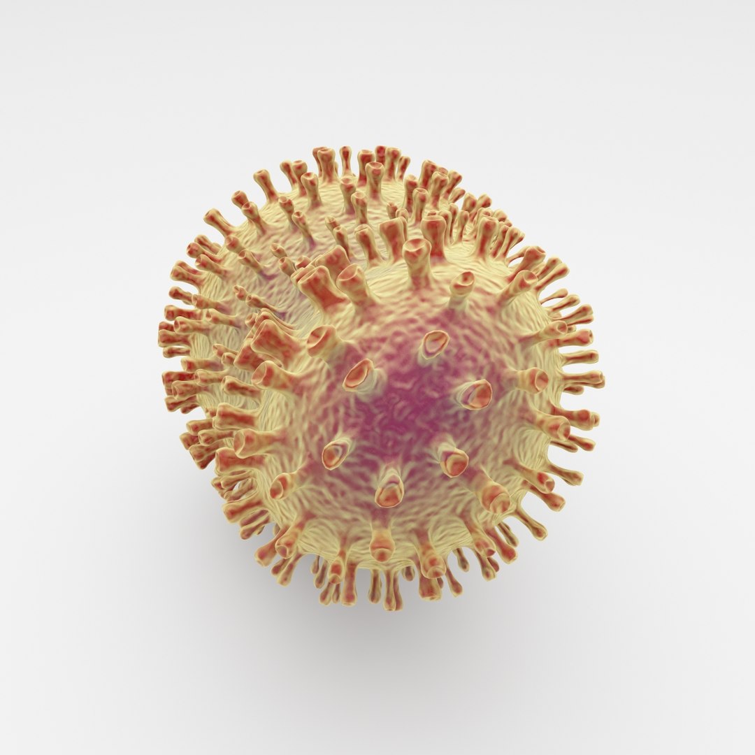 3d Model Bacteria Bacillus