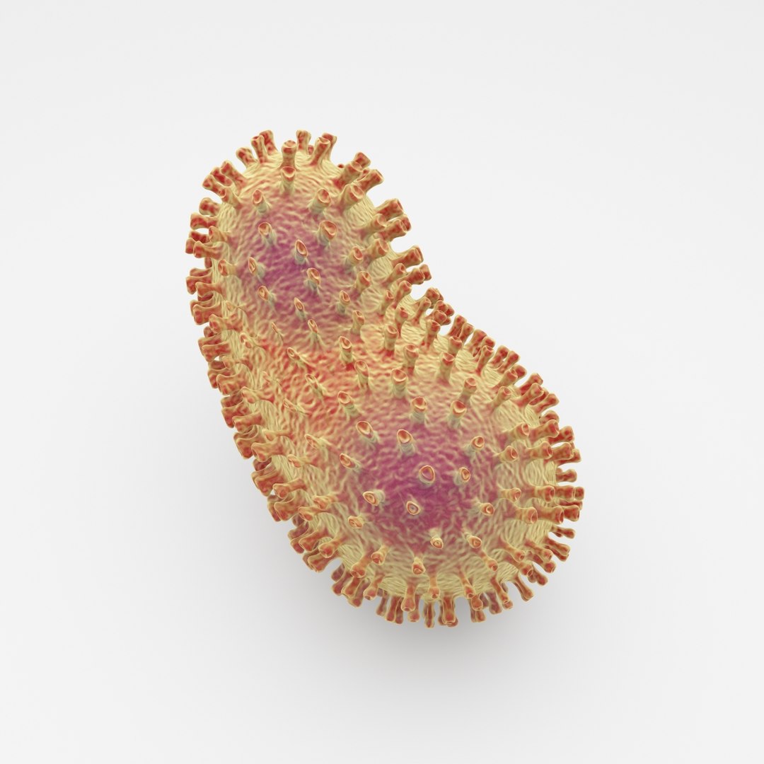 3d Model Bacteria Bacillus