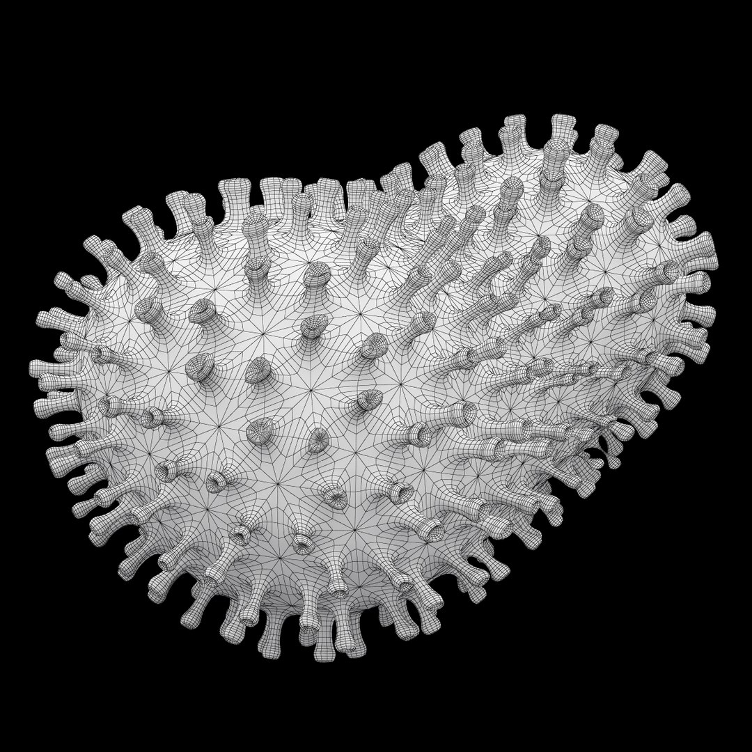 3d Model Bacteria Bacillus