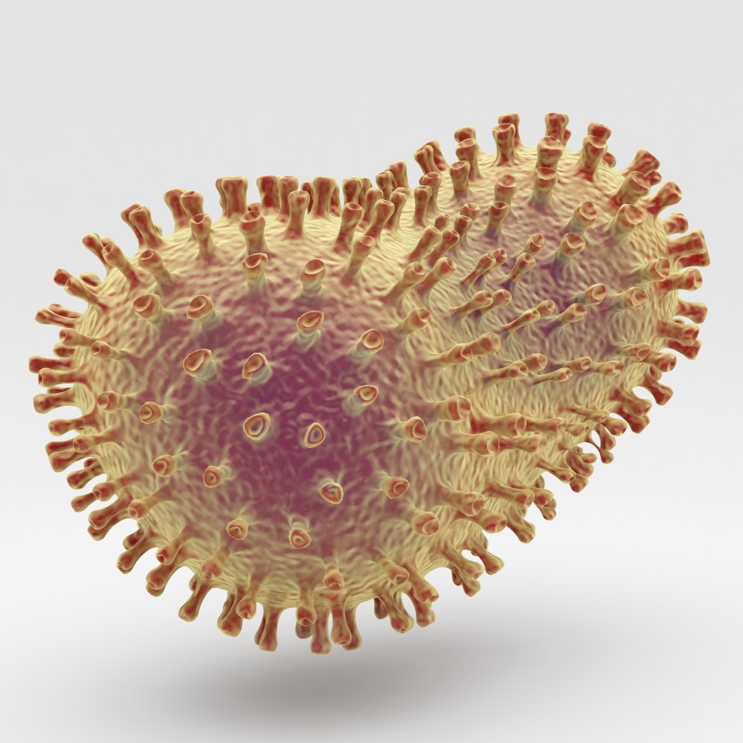 3d Model Bacteria Bacillus