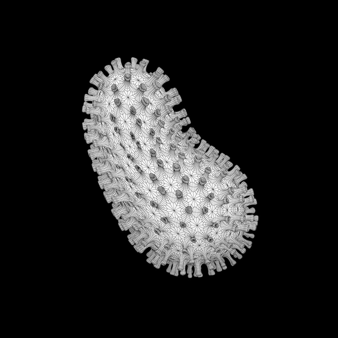 3d Model Bacteria Bacillus