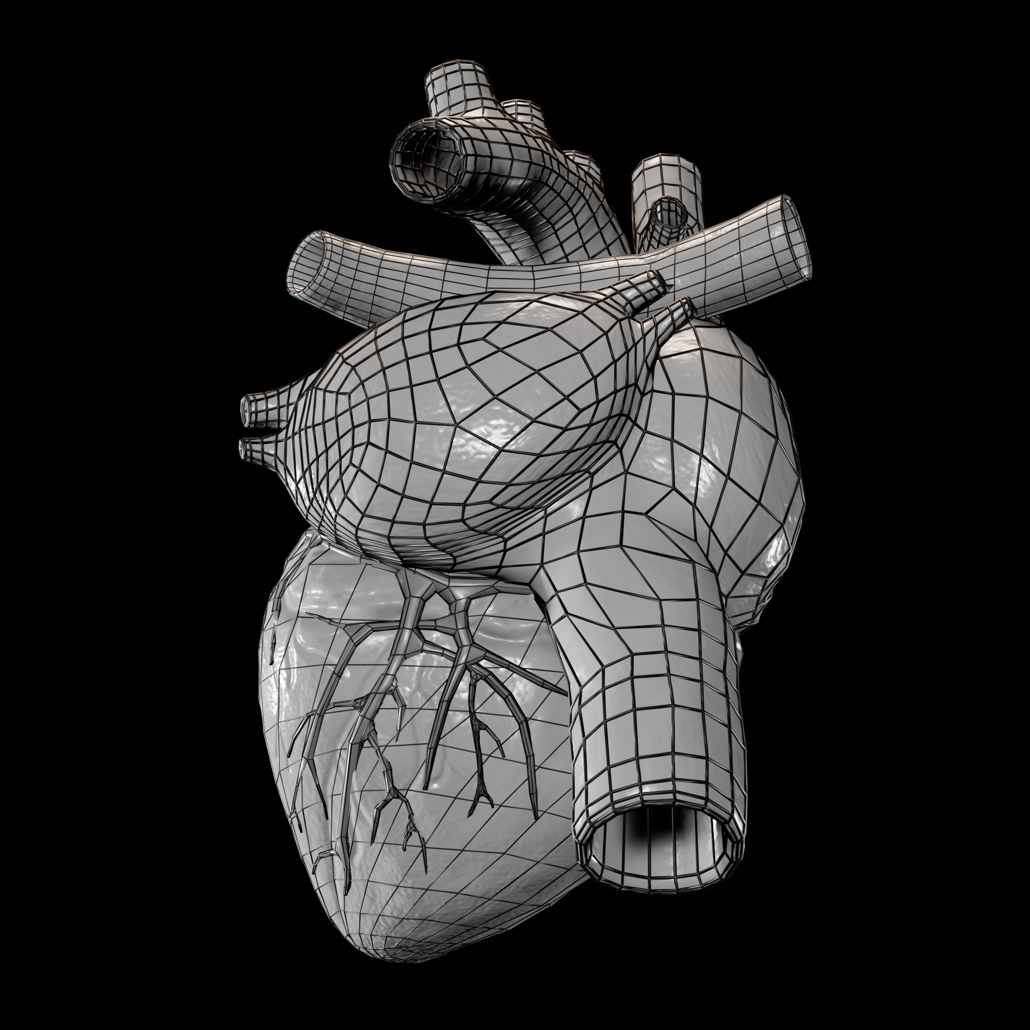 modelo 3d corazón humano - TurboSquid 1737445