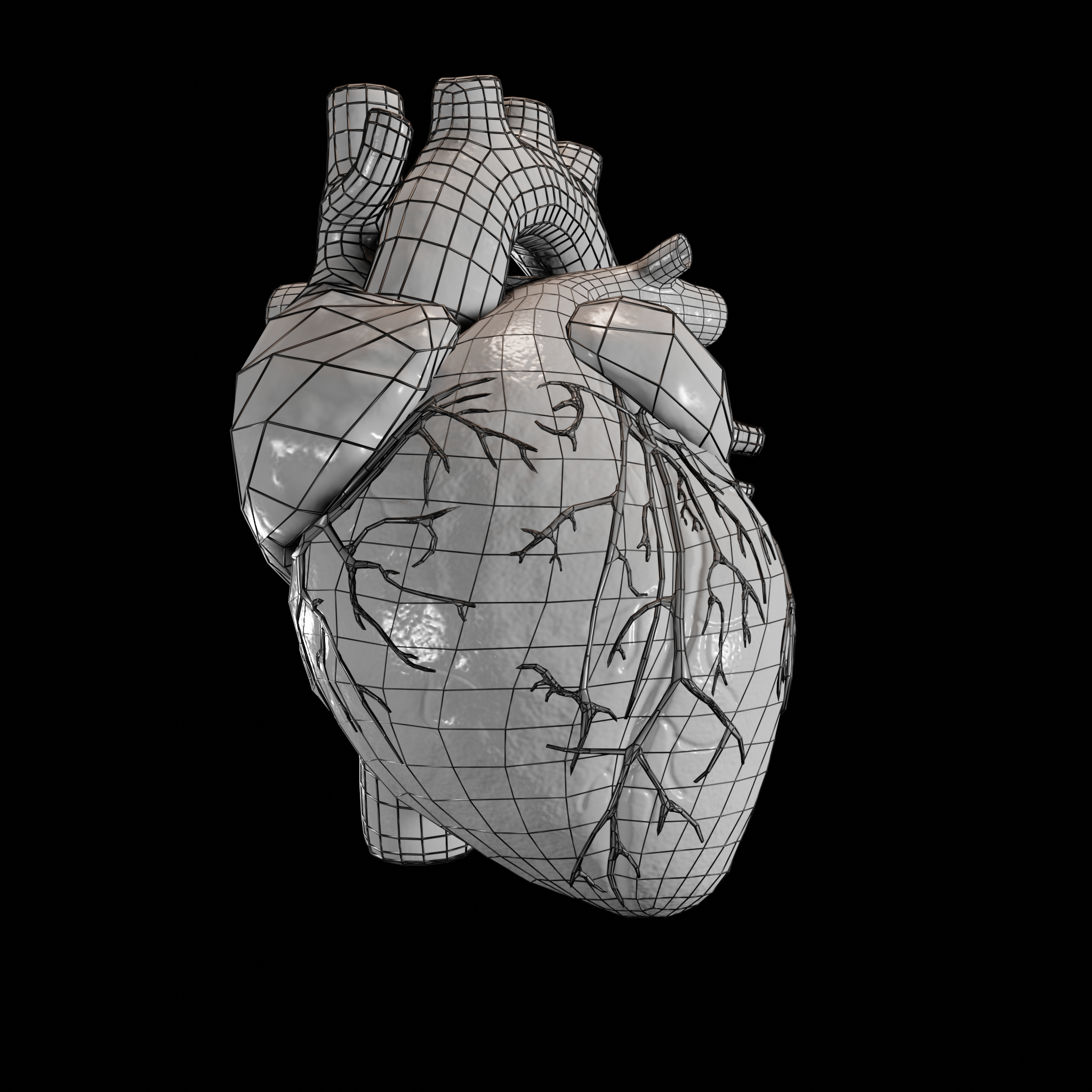 modelo 3d corazón humano - TurboSquid 1737445