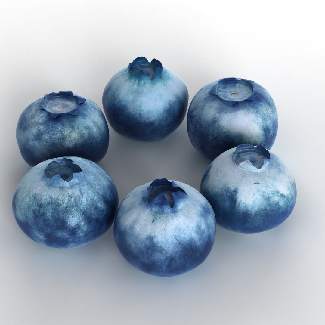 Blueberries Berries 3d Model
