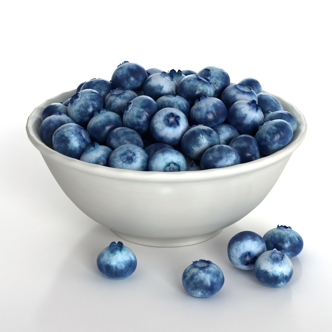 Blueberries Berries 3d Model
