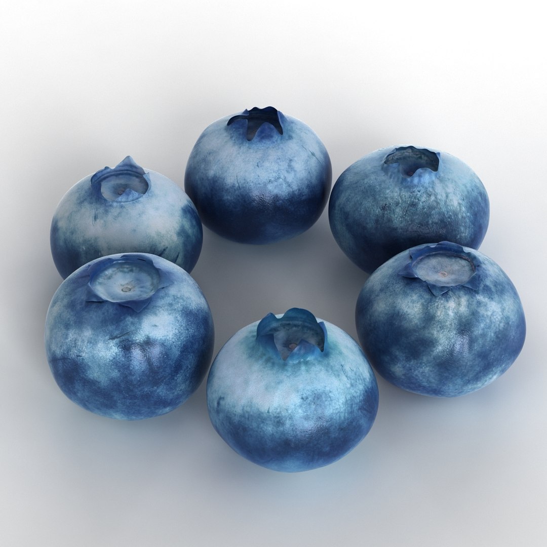 Blueberries Berries 3d Model