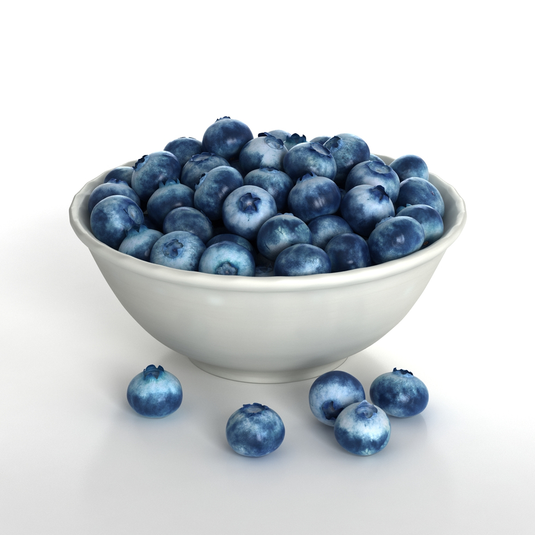 Blueberries Berries 3d Model