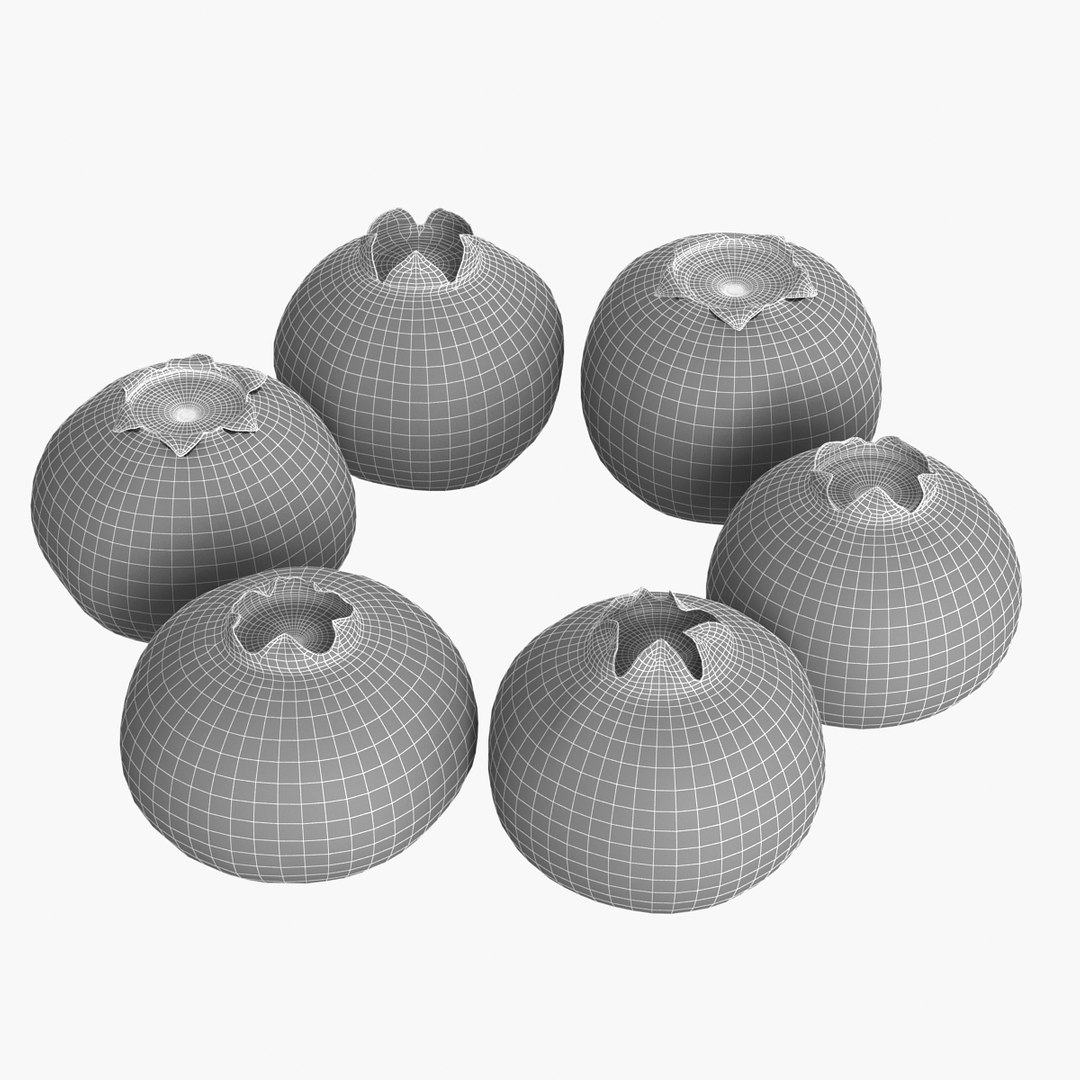 Blueberries Berries 3d Model