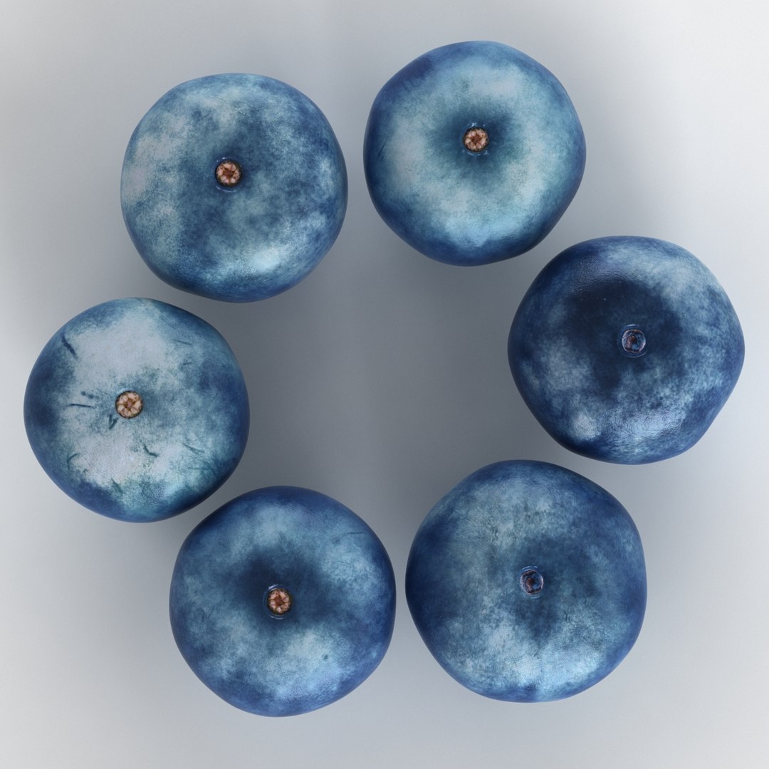 Blueberries Berries 3d Model