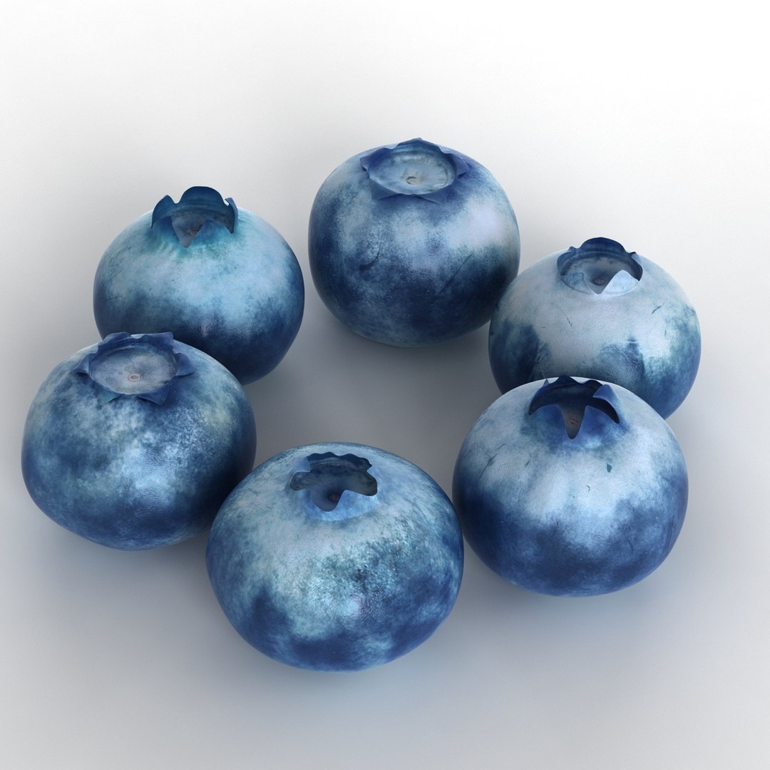 Blueberries Berries 3d Model