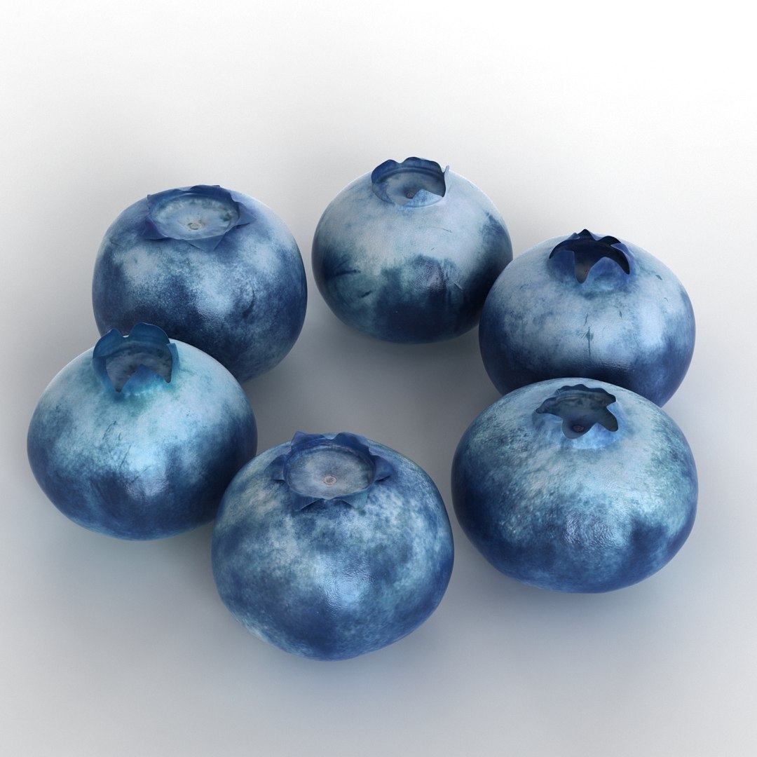 Blueberries Berries 3d Model