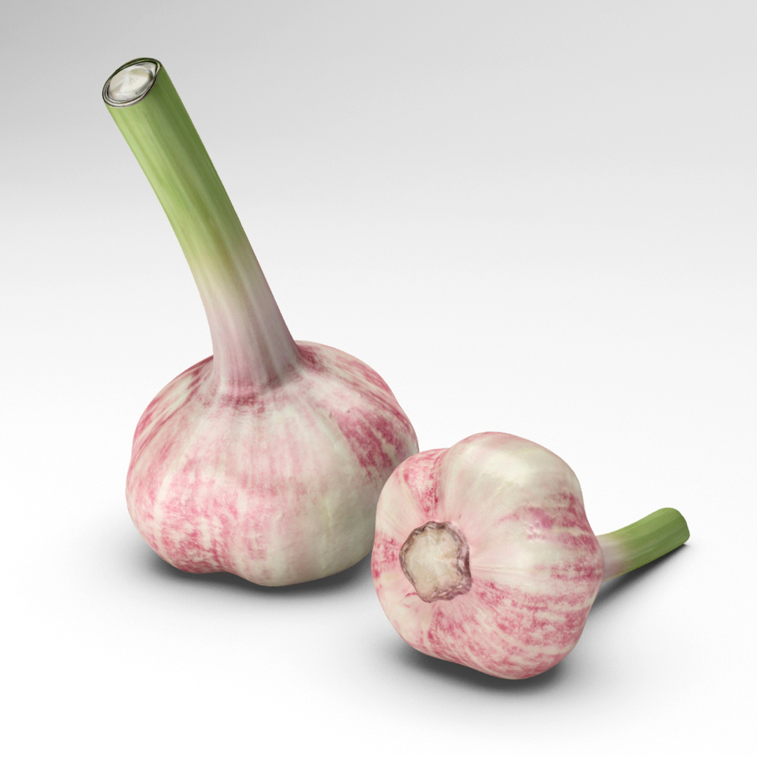 3d garlic