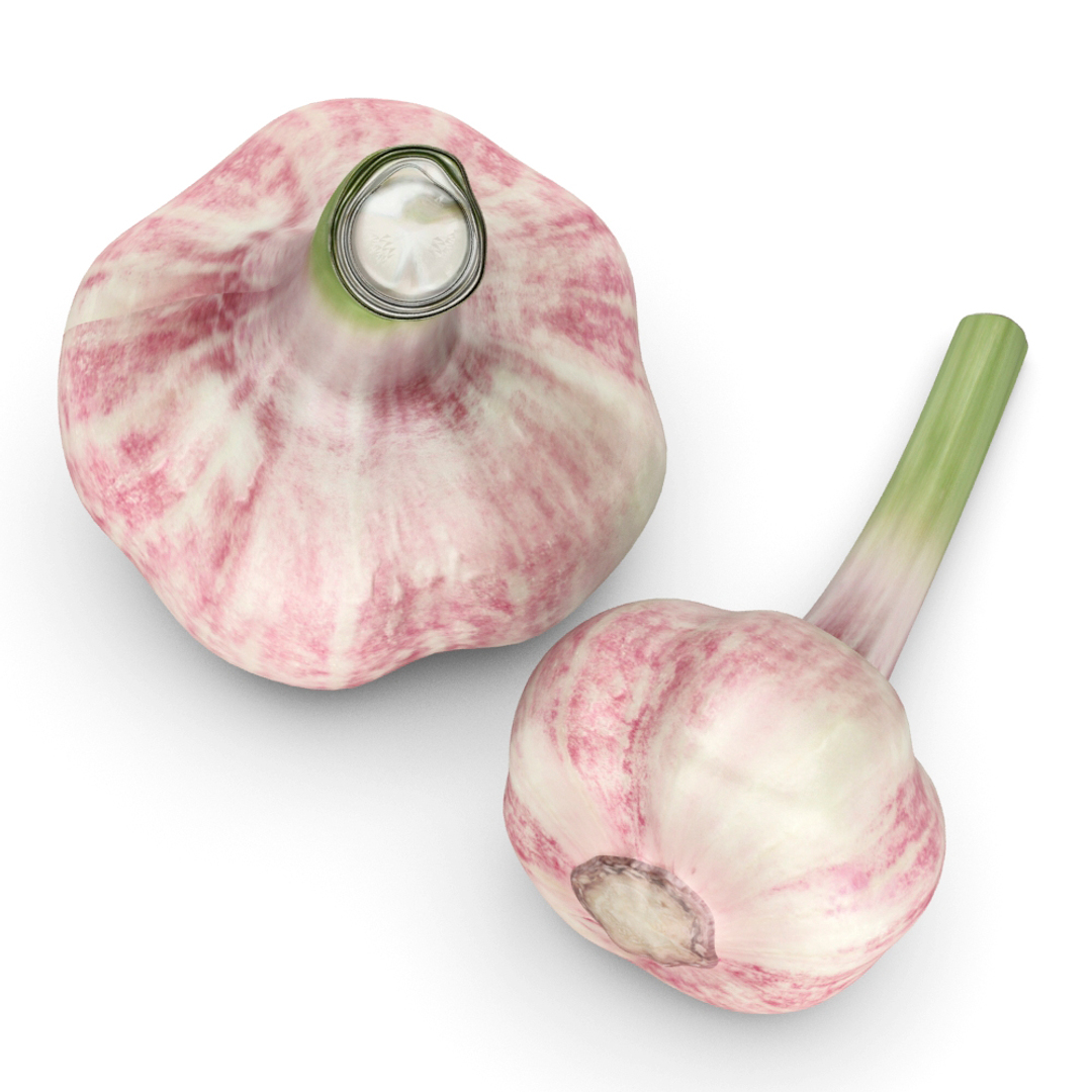 3d garlic