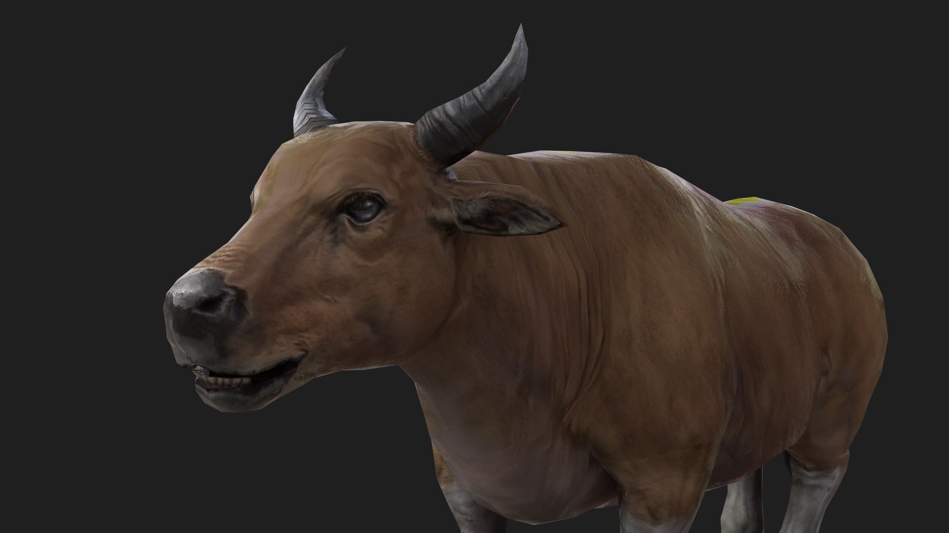 Lowpoly PBR Game Ready Bull Animation 3D Model - TurboSquid 2097036