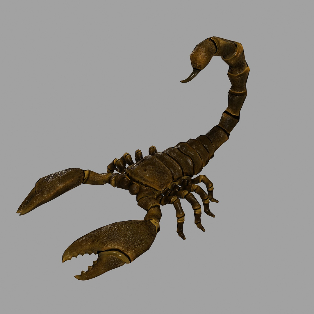 3d Model Of Low-poly Scorpio