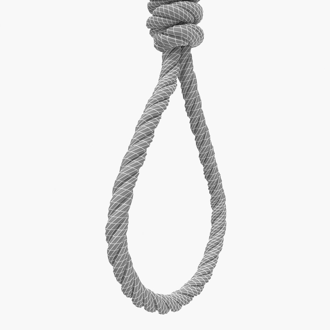 3d Noose