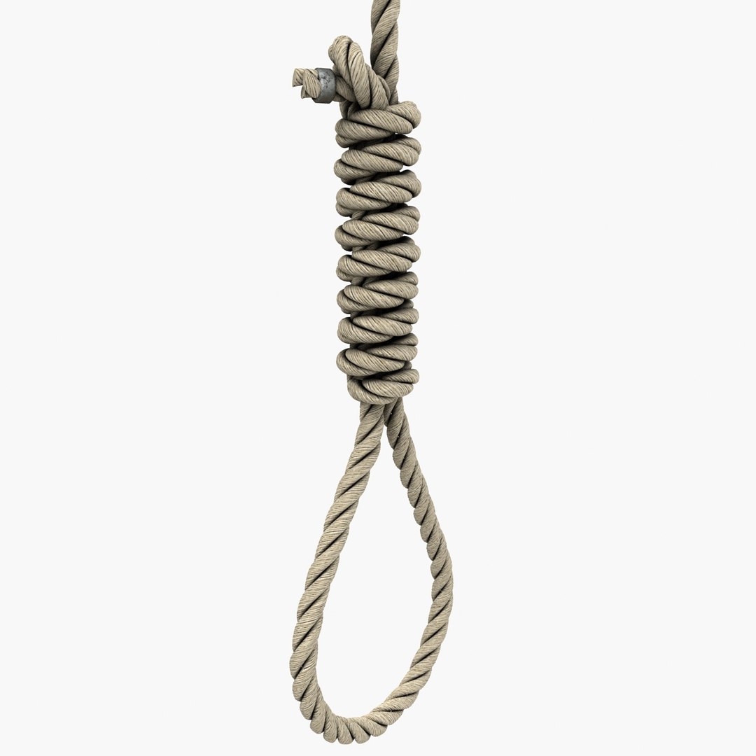 3d Noose