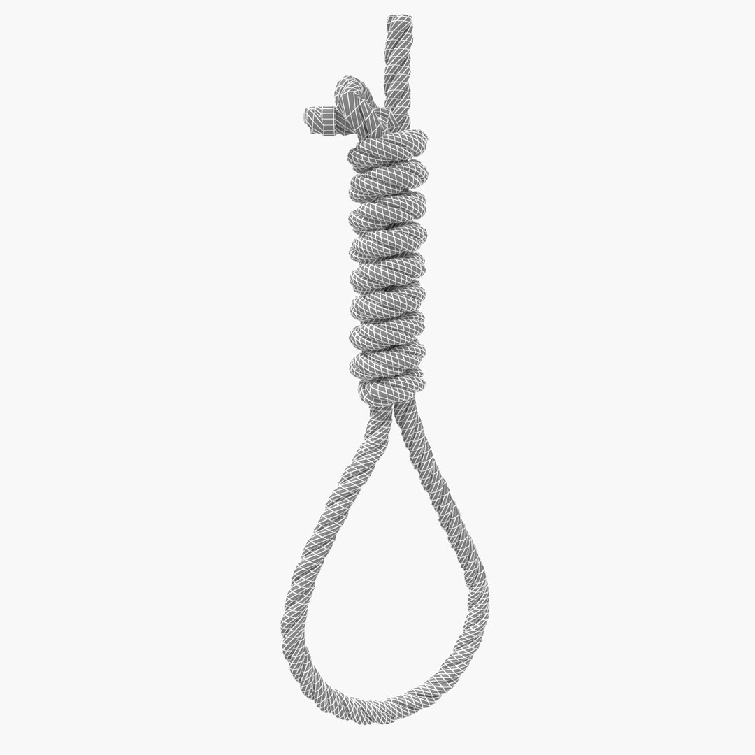 3d Noose