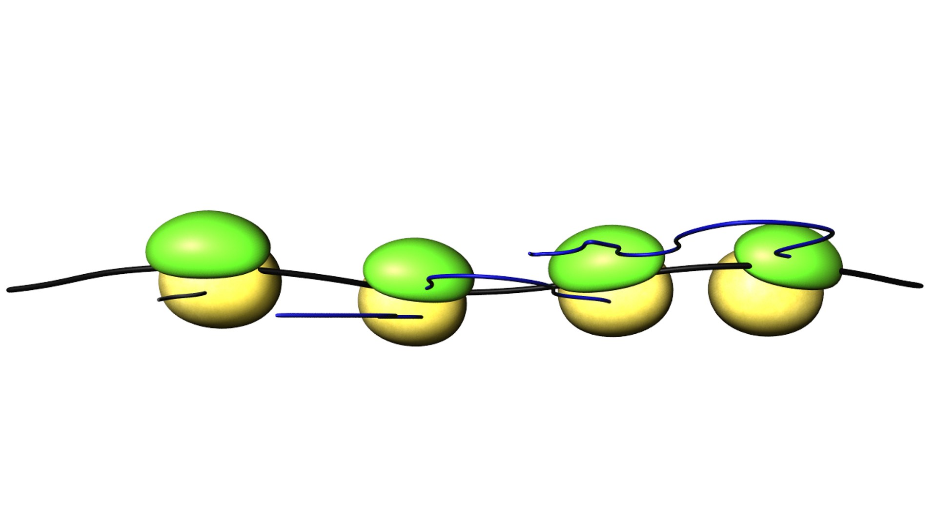 Ergosomes Ribosomes 3d Model