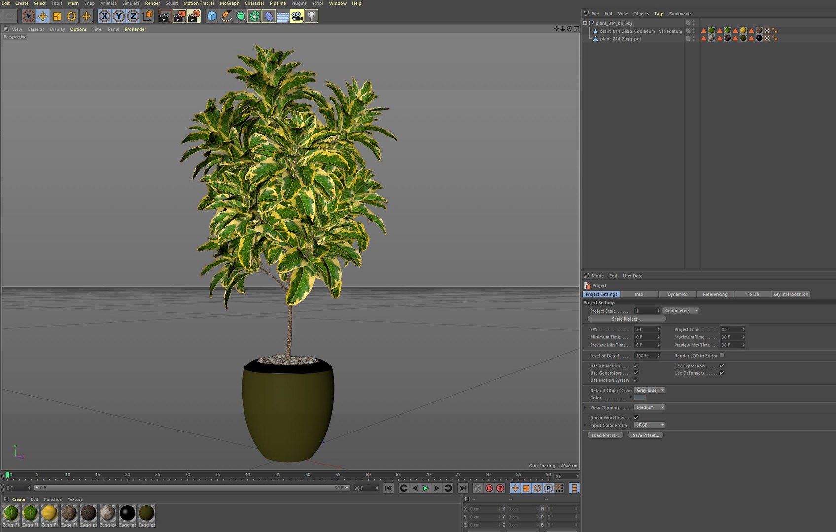 3D Model Plants Collection 814 - TurboSquid 1963712