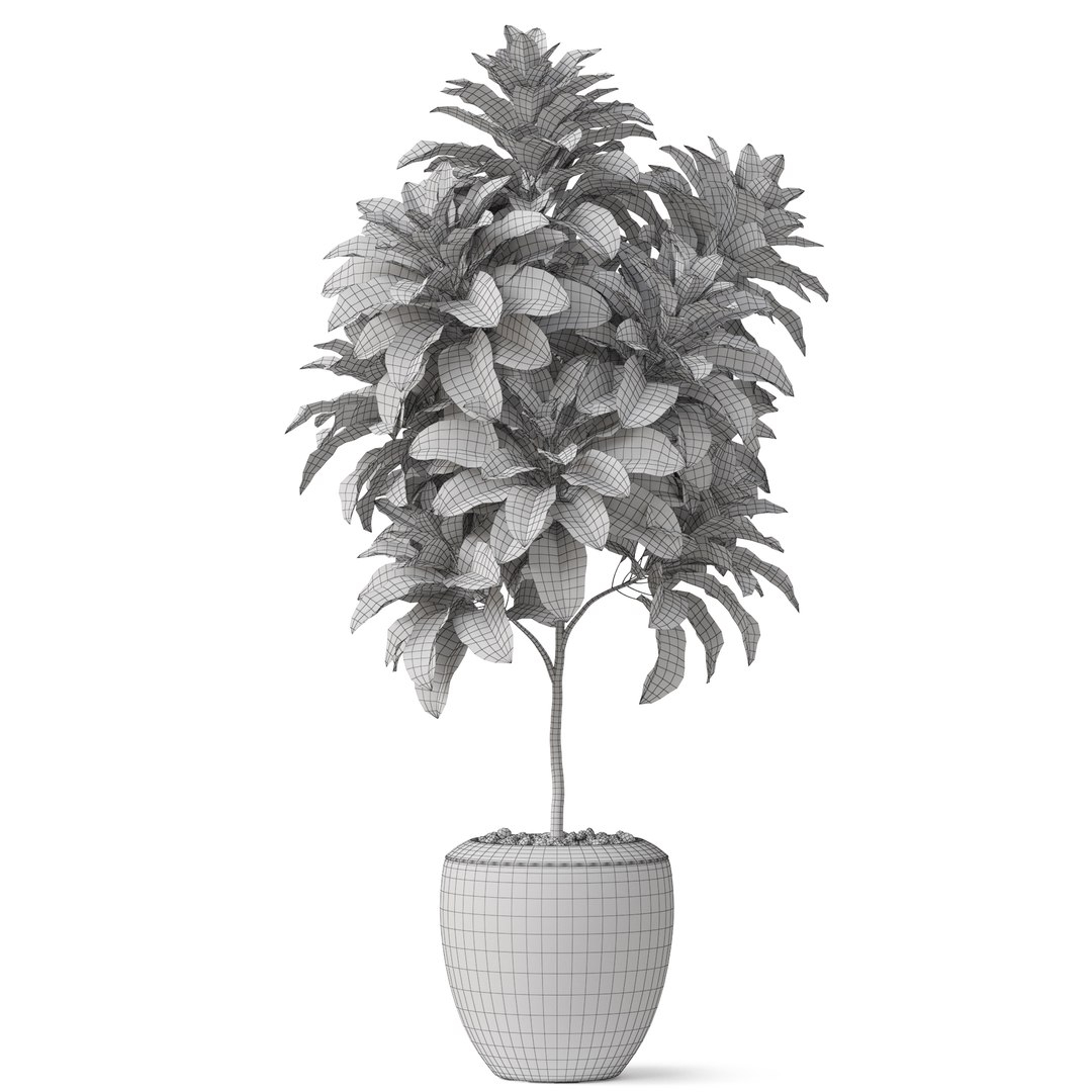 3D Model Plants Collection 814 - TurboSquid 1963712