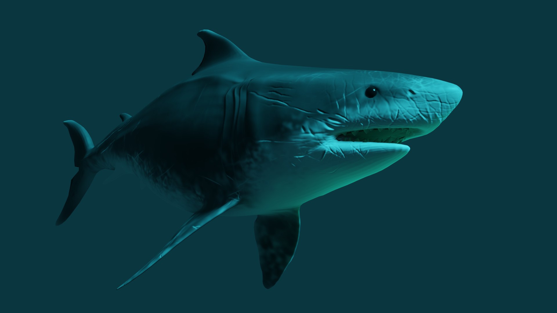 3D Shark Stylized Model - TurboSquid 1369383