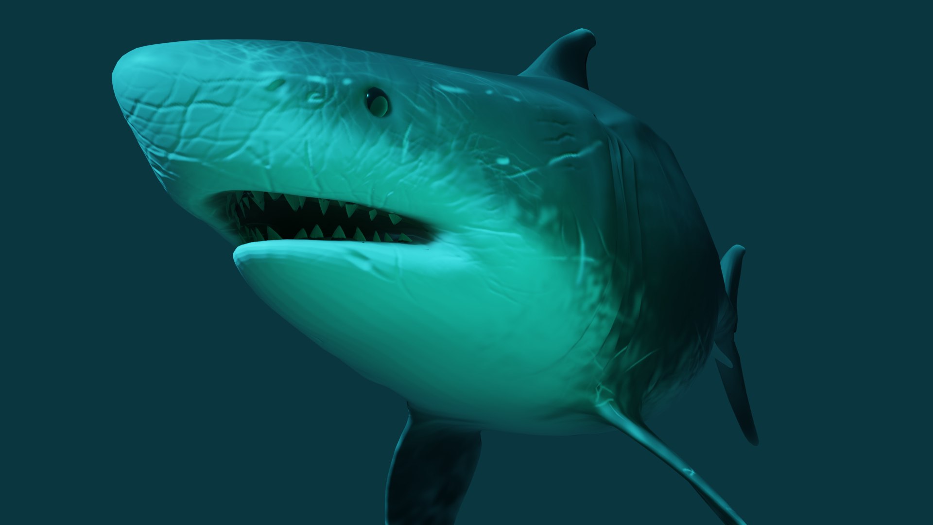 3D Shark Stylized Model - TurboSquid 1369383
