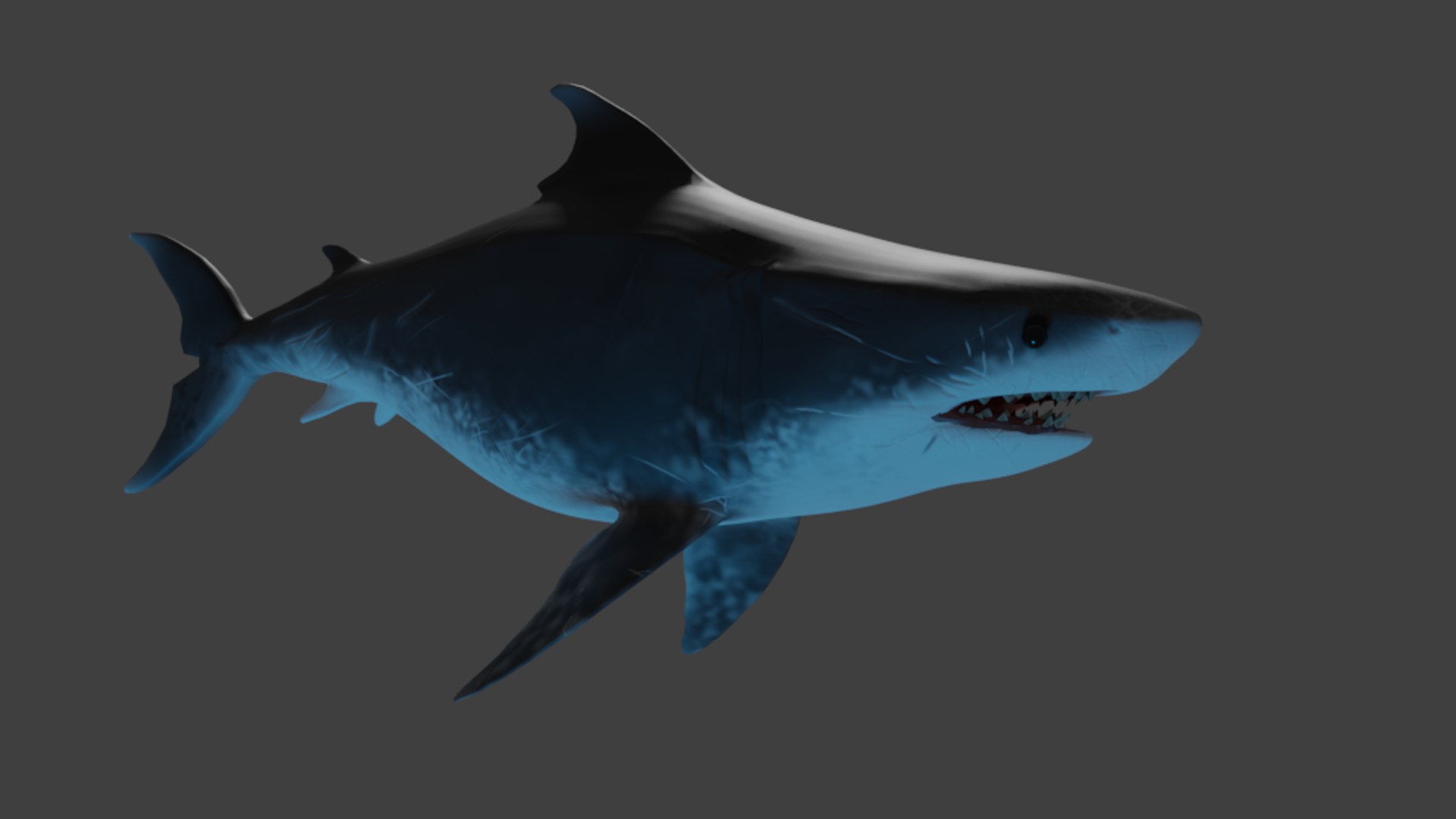 3D Shark Stylized Model - TurboSquid 1369383