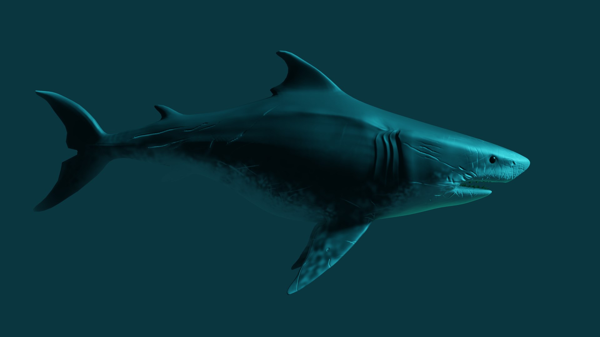 3D Shark Stylized Model - TurboSquid 1369383