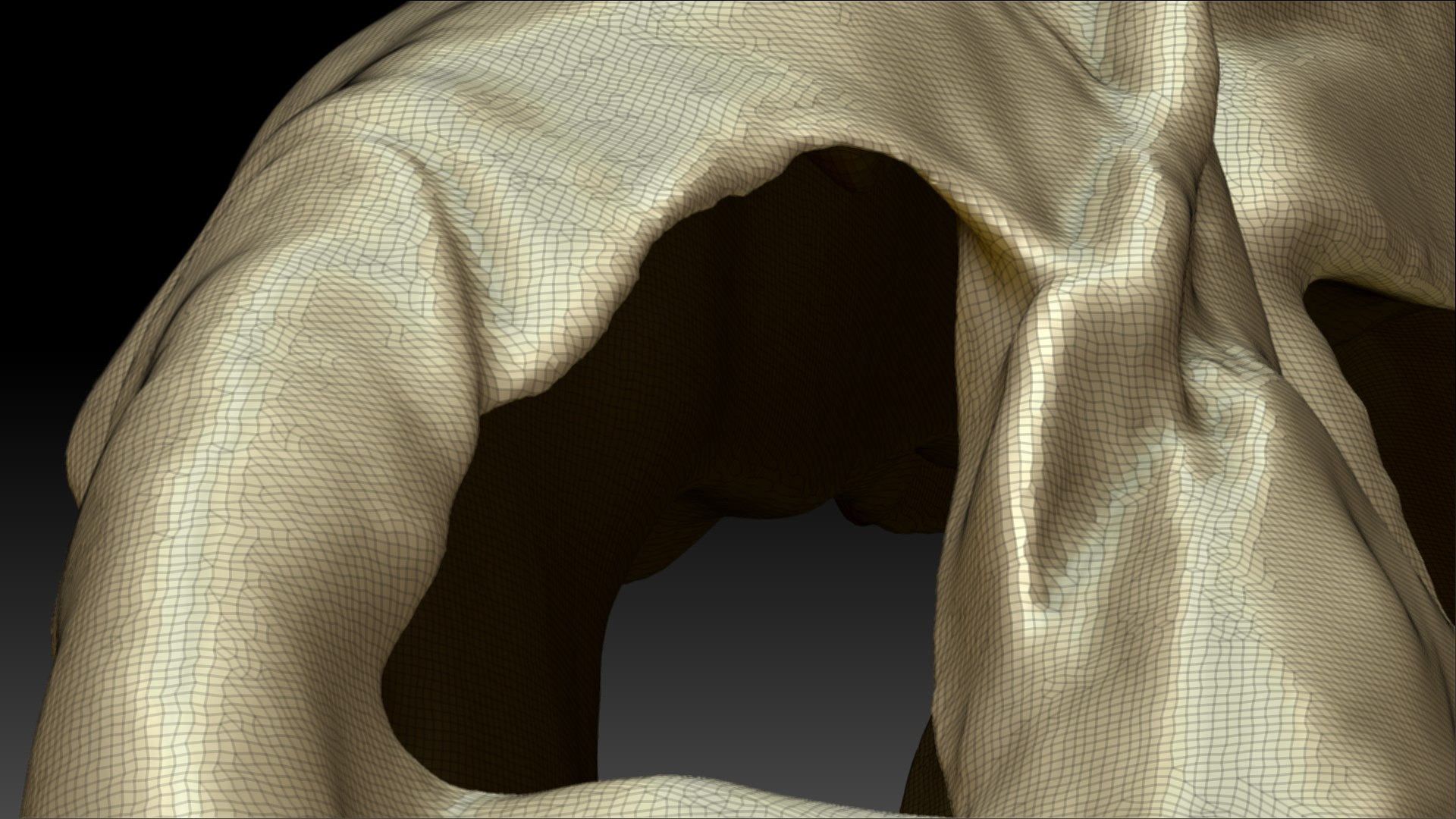 3D Giganotosaurus Skull Set Skeletons - TurboSquid 1695017