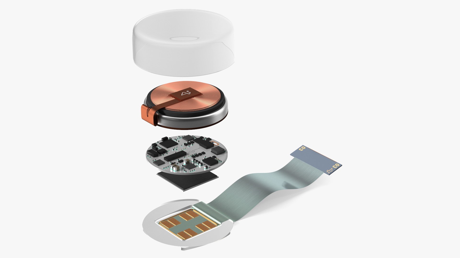 3D model Neuralink Chip Layout - TurboSquid 1874782