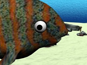 Free 3D Fish Models - Available For Download On TurboSquid