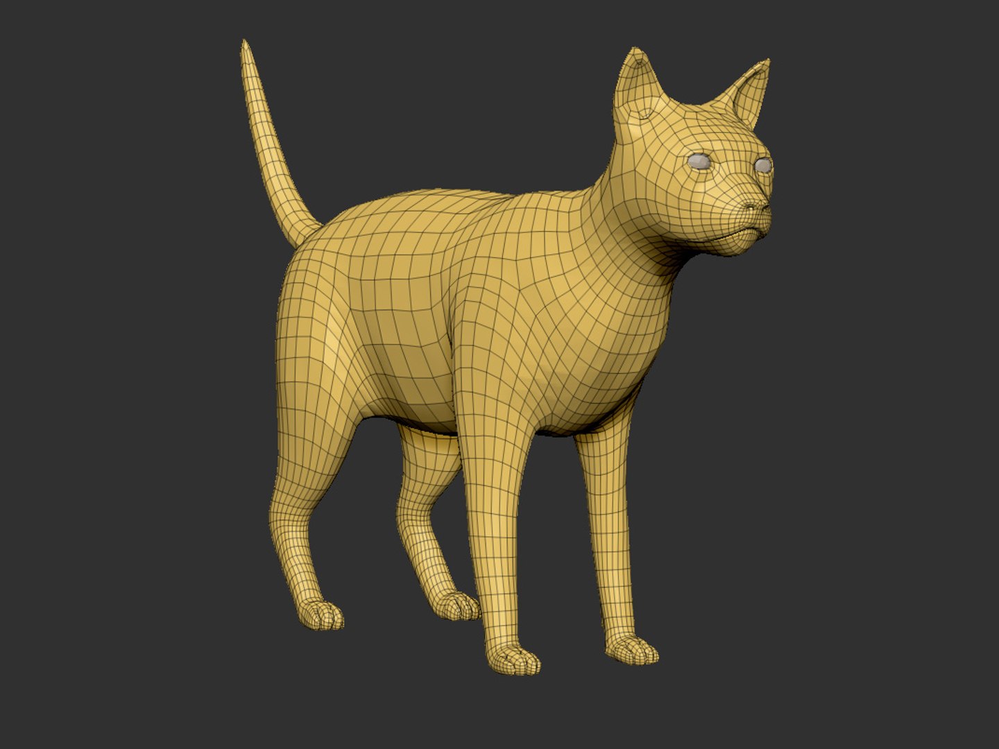 Cat Basemesh Obj