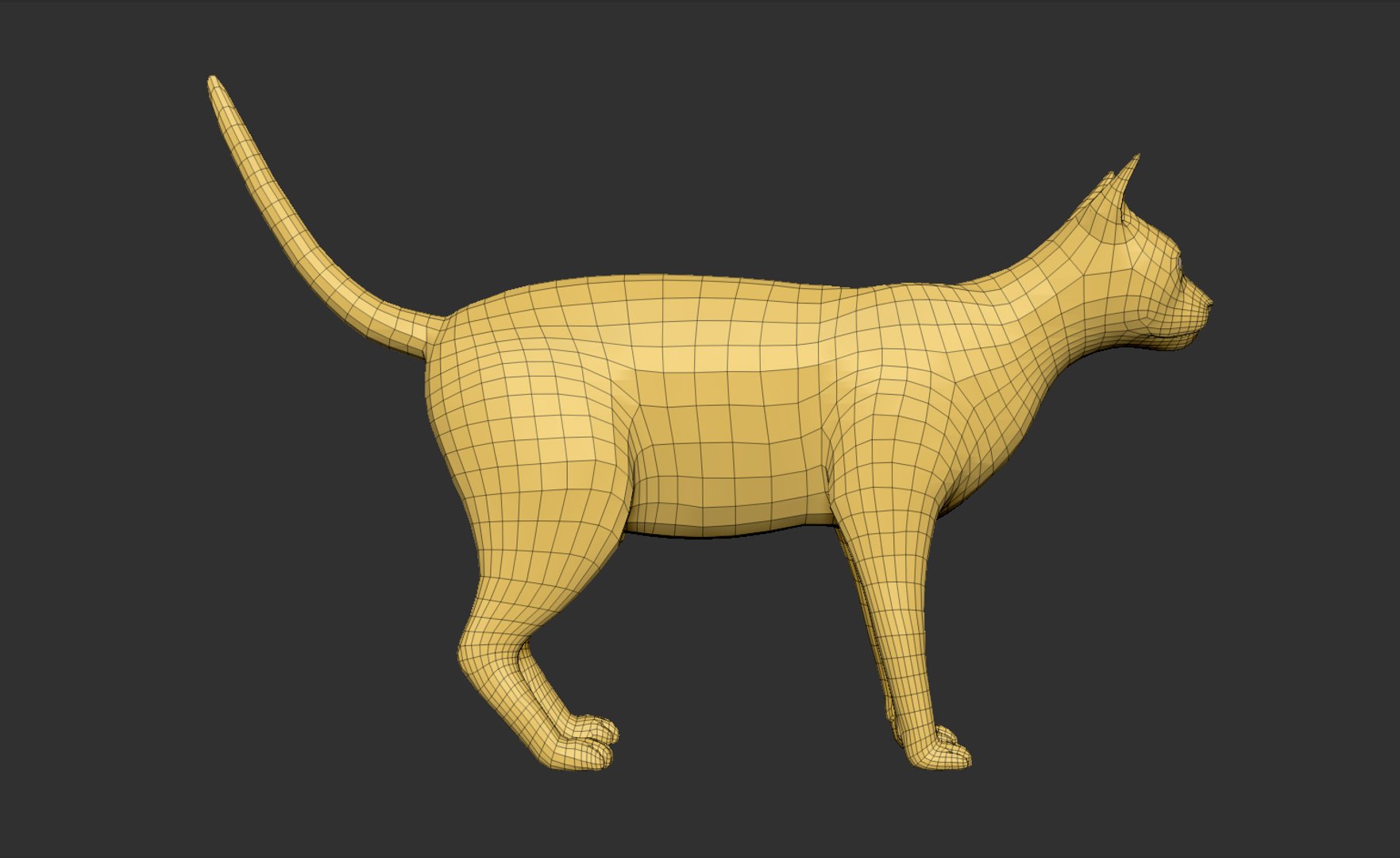 Cat Basemesh Obj