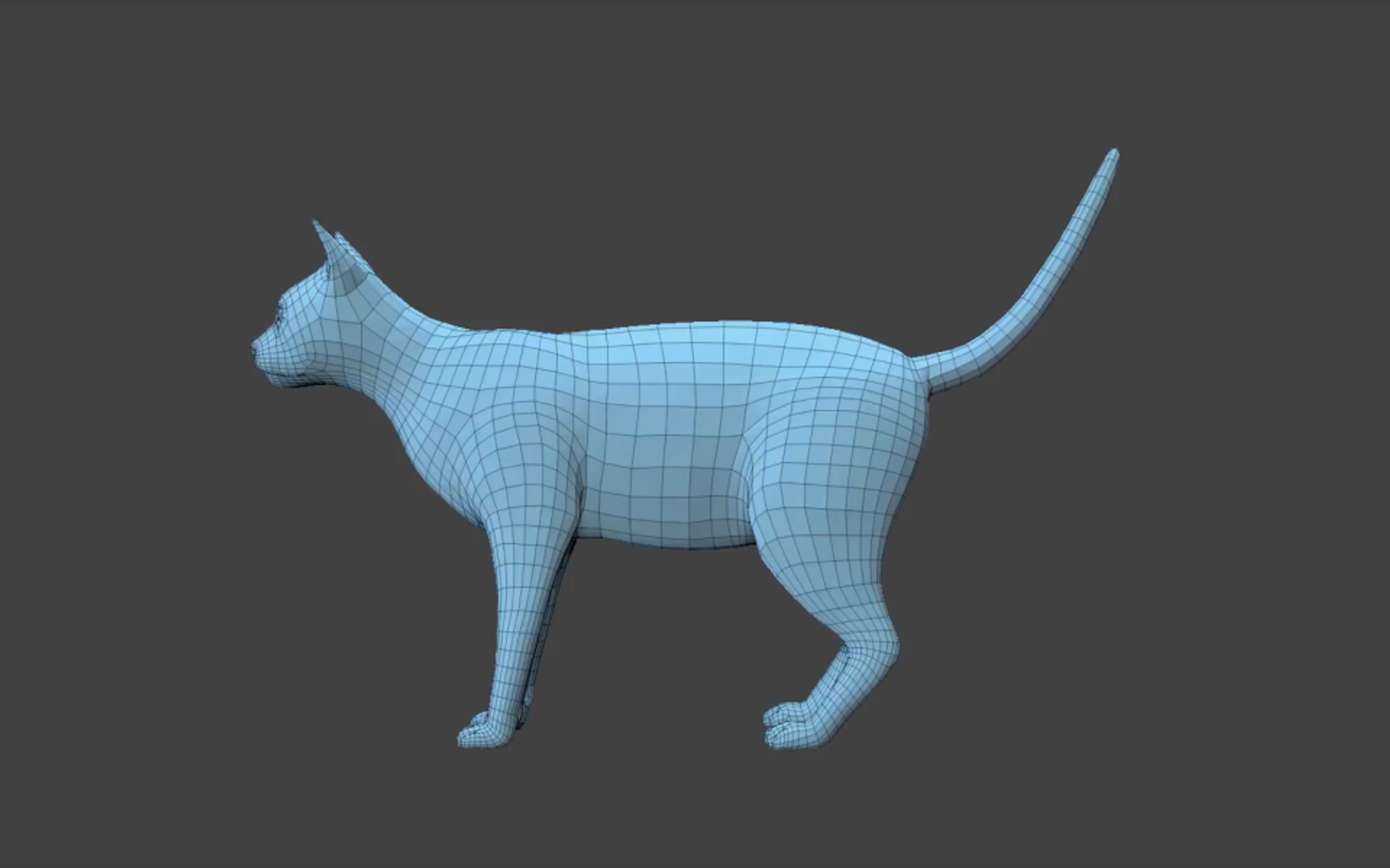 Cat Basemesh Obj