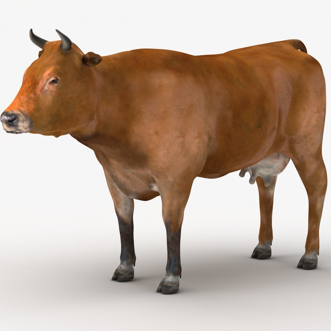 Dugm02 Cow 3d Max