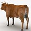 Dugm02 Cow 3d Max